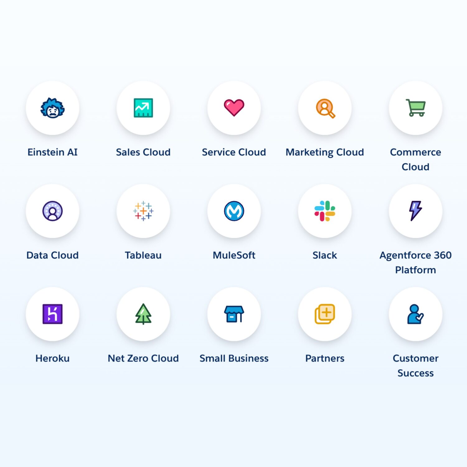 Salesforce Business Value Realisation - Gauri