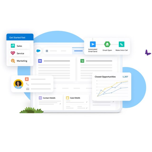 Salesforce for Small Business - Gauri